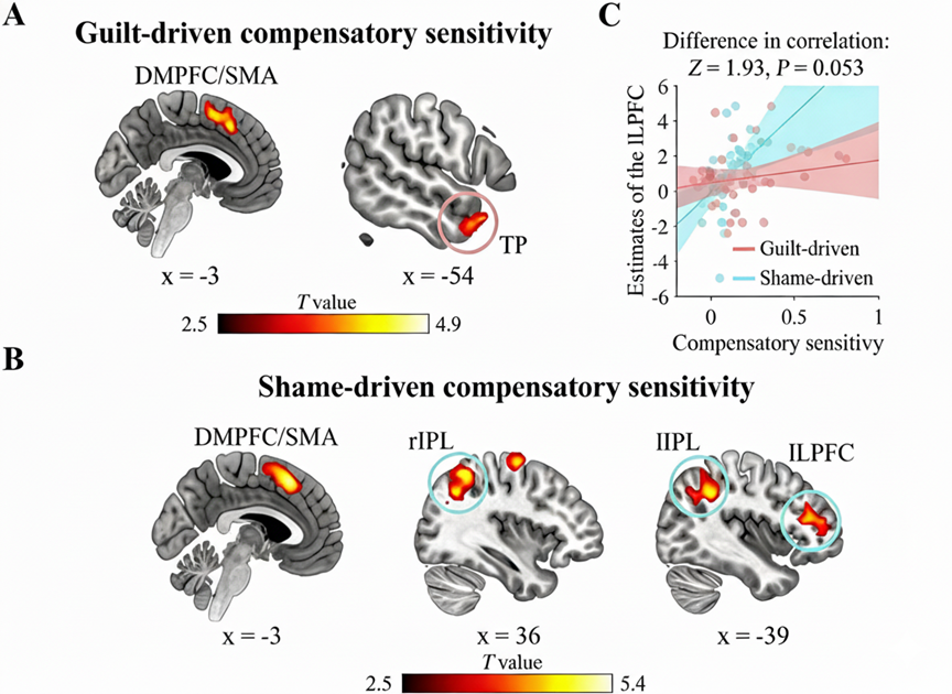 Professor Chao Liu’s Group Reveals the Human Neurocomputational ...